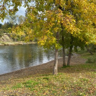 Gills Landing RV Park - Lebanon, Oregon - RV LIFE Campground Reviews